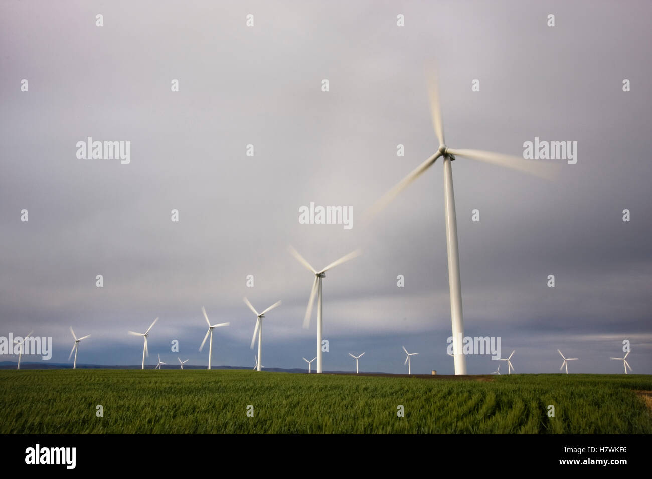 Biglow Wind Farm near the Columbia River, Oregon Stock Photo - Alamy