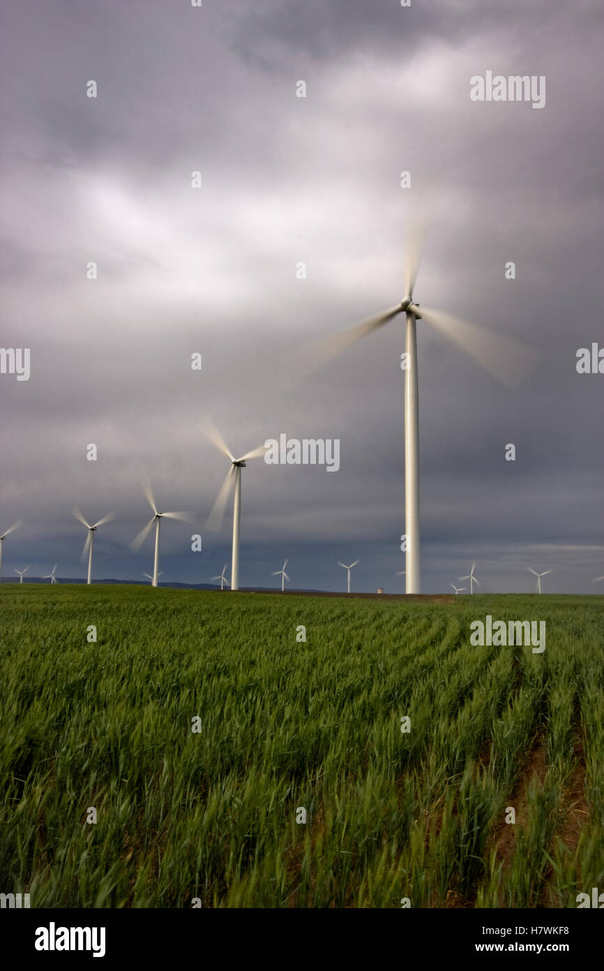 Biglow Wind Farm near the Columbia River, Oregon Stock Photo - Alamy
