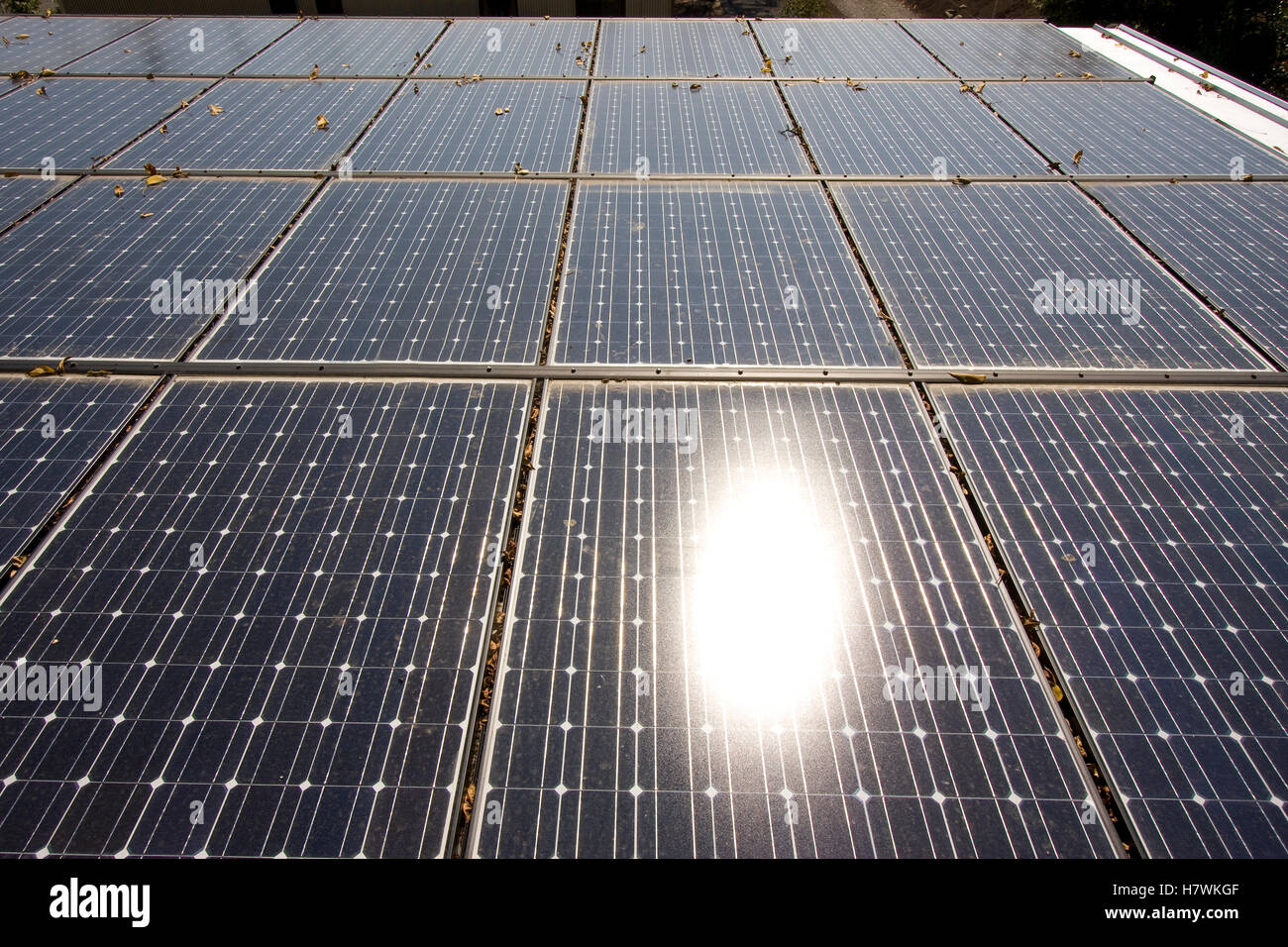 Solar panels on the roof of a LEED certified home, North America Stock ...