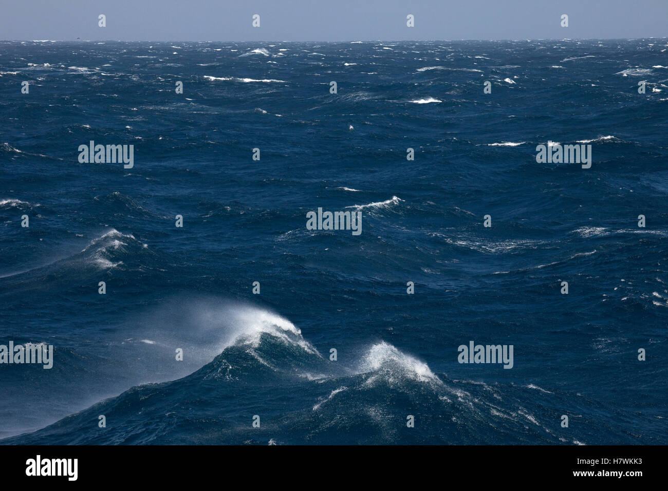 Storm tossed sea, New Zealand Stock Photo - Alamy