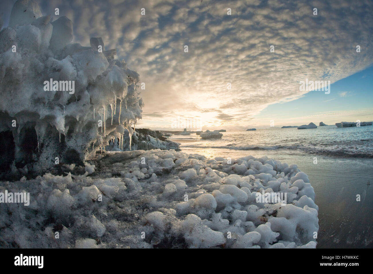 Ice boulders on Ridley Beach, Cape Adare, Ross Sea, Antarctica Stock ...