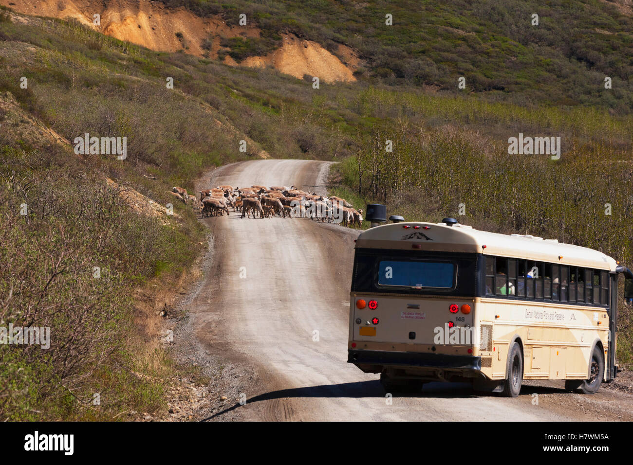 Parked sideways hi-res stock photography and images - Alamy