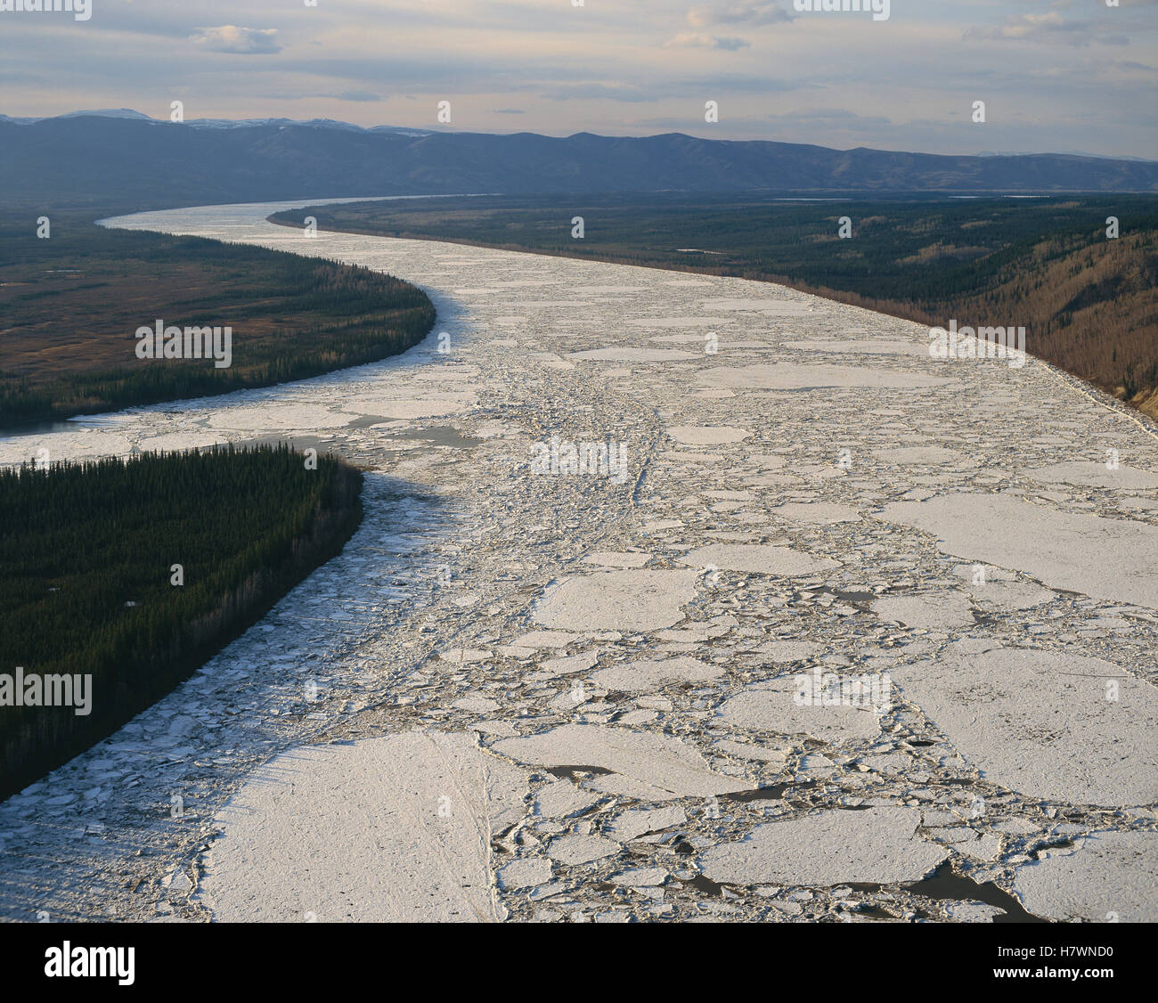 Ice floes in Yukon River in spring, Alaska Stock Photo - Alamy