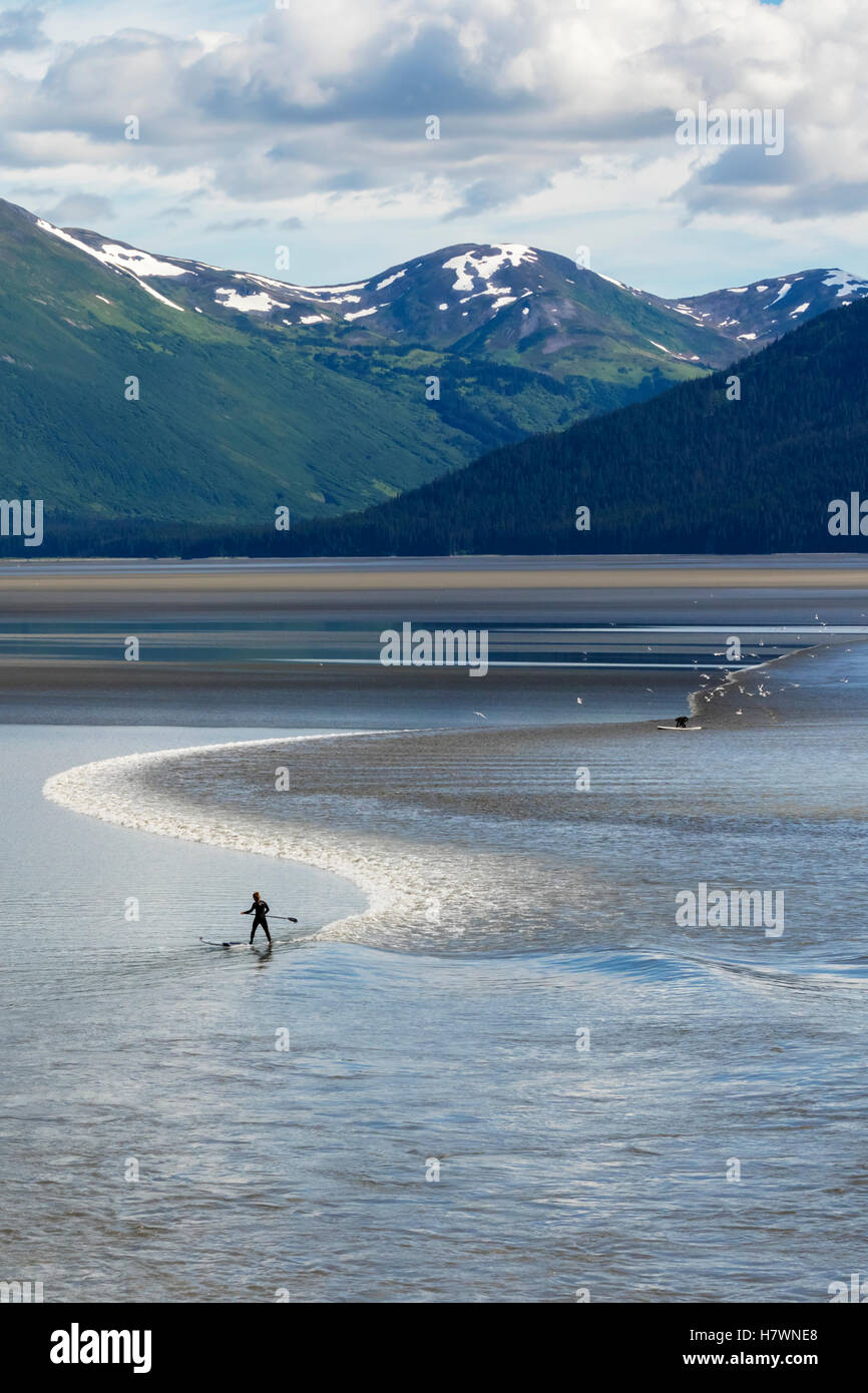 People riding the bore tide on paddle boards, Turnagain Arm ...