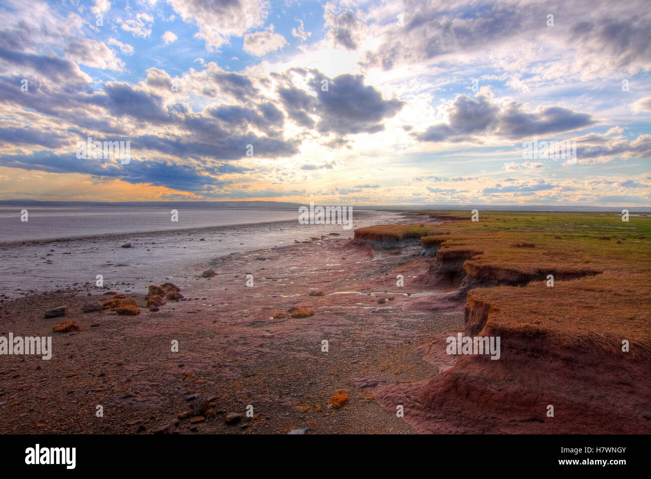 Mudflats in salt marsh, Bay of Fundy, Nova Scotia, Canada Stock Photo ...