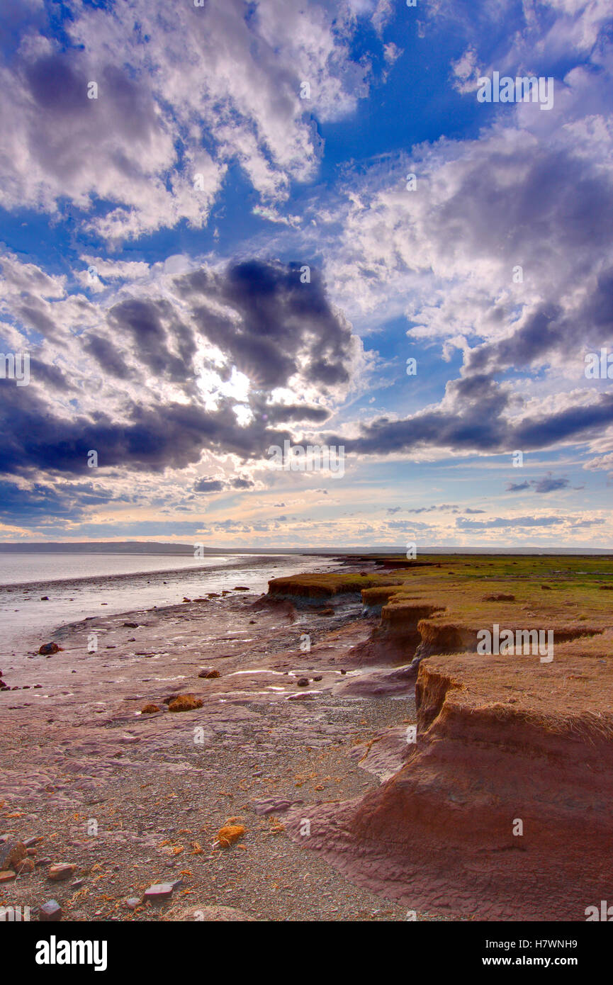 Mudflats in salt marsh, Bay of Fundy, Nova Scotia, Canada Stock Photo ...