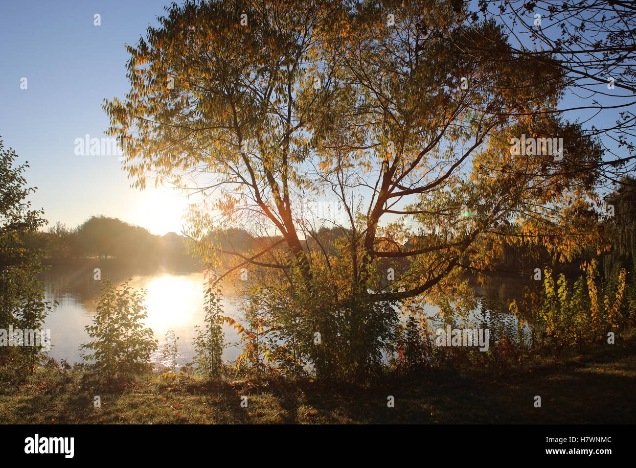 Chicory Place morning Stock Photo - Alamy