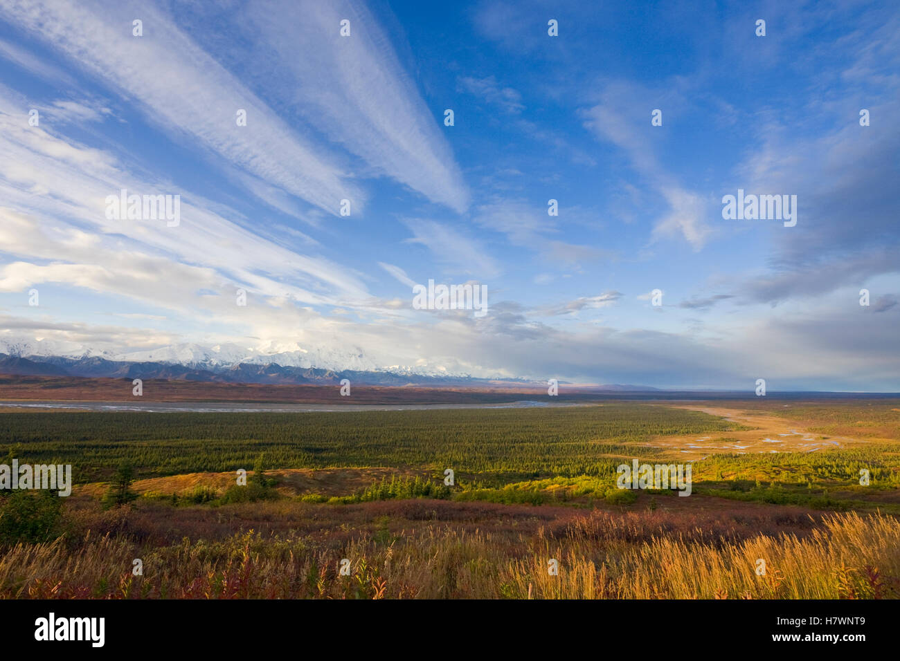 Cirrus and cumulus clouds above fall tundra and Alaska Range, Denali ...
