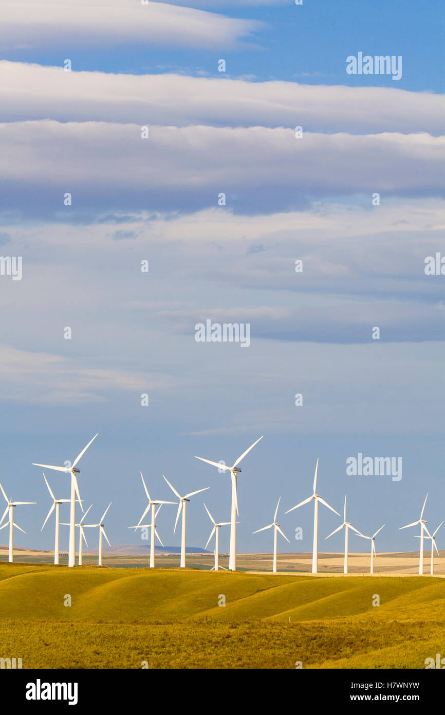 Windmill in fields of traditional farming community, Alberta, Canada ...