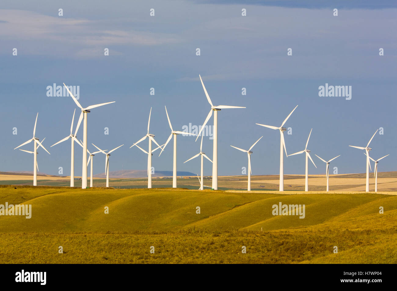 Windmill in fields of traditional farming community, Alberta, Canada ...