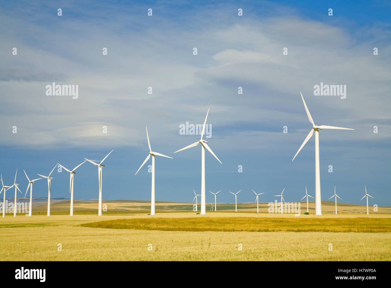 Windmill in fields of traditional farming community, Alberta, Canada ...