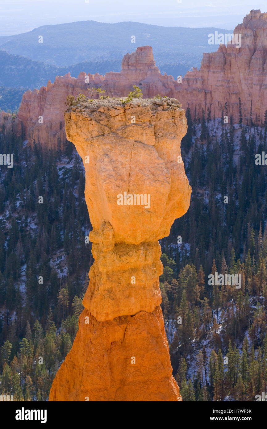 Sandstone hoodoo, Bryce Canyon National Park, Utah Stock Photo - Alamy