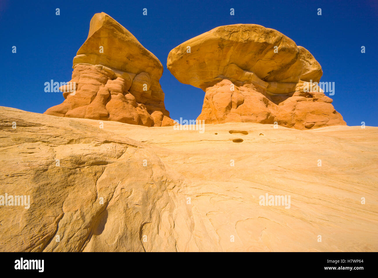 Sandstone hoodoos shaped by erosion, Escalante National Monument, Utah ...