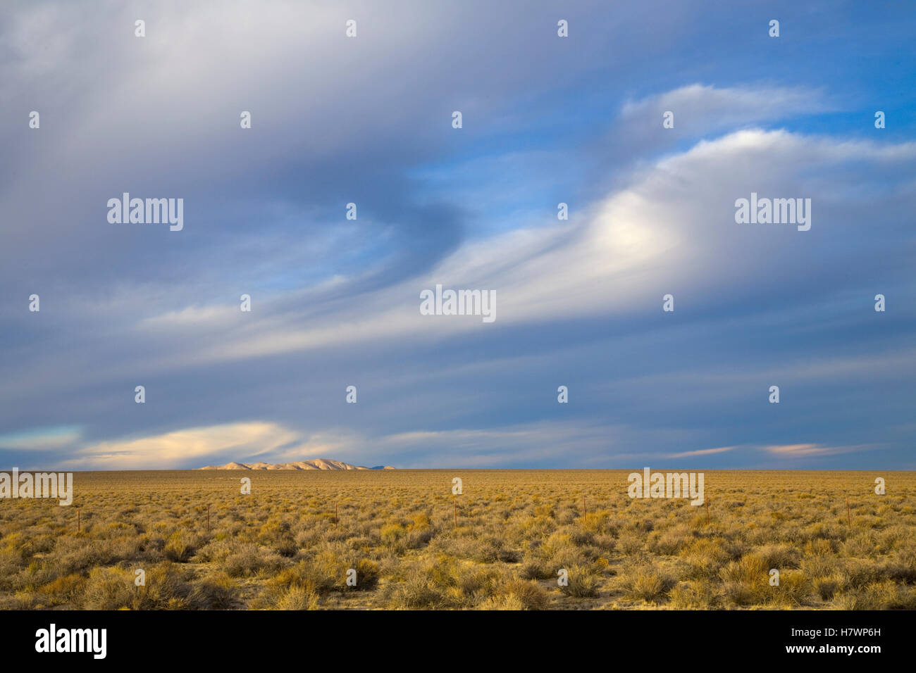 Lenticular and cumulus clouds above remote arid desert, Nevada Stock ...