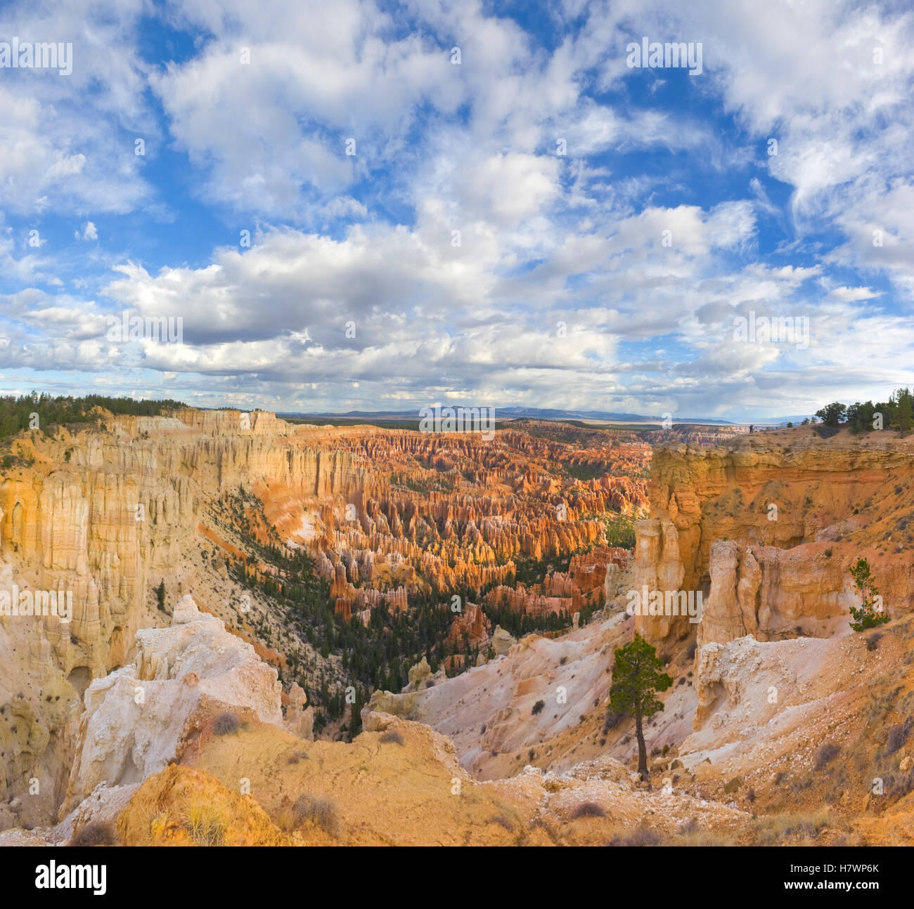 Sandstone hoodoos, Bryce Canyon National Park, Utah Stock Photo - Alamy