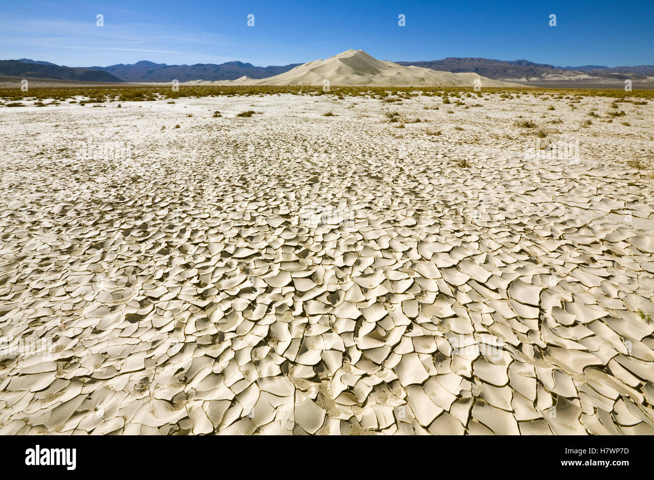 Dry cracked panes of mud, Death Valley National Park, California Stock ...