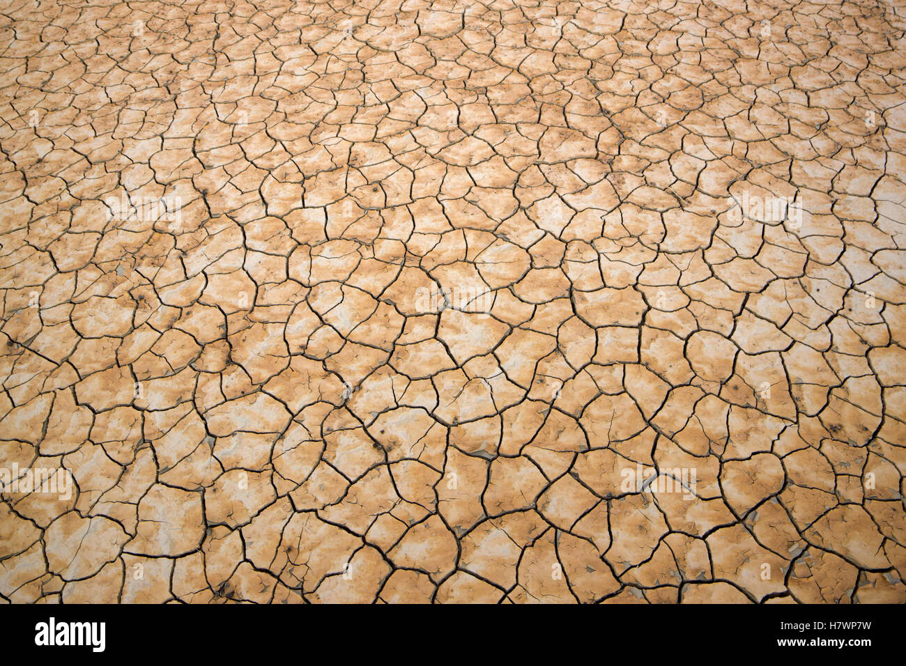 Pattern of dry caked mud near Ubehebe Crater, Death Valley National ...