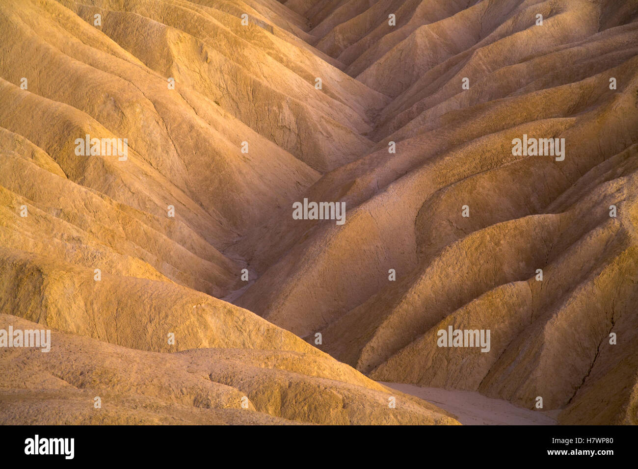Eroded sandstone ridges near Zabriskie Point, Death Valley National ...