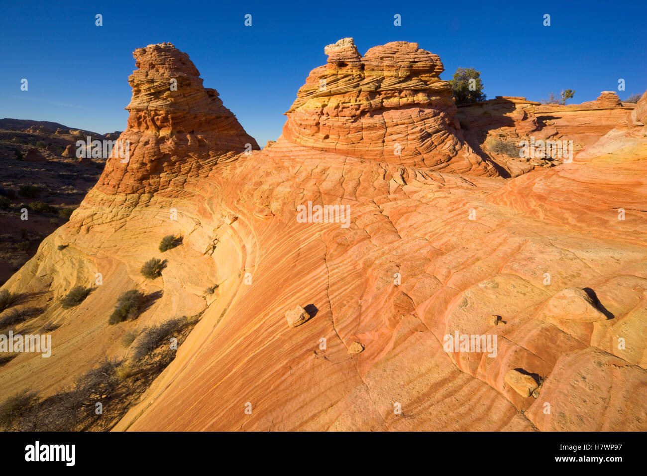 Buttes and twisted layers of sandstone, Coyote Buttes, Arizona Stock ...