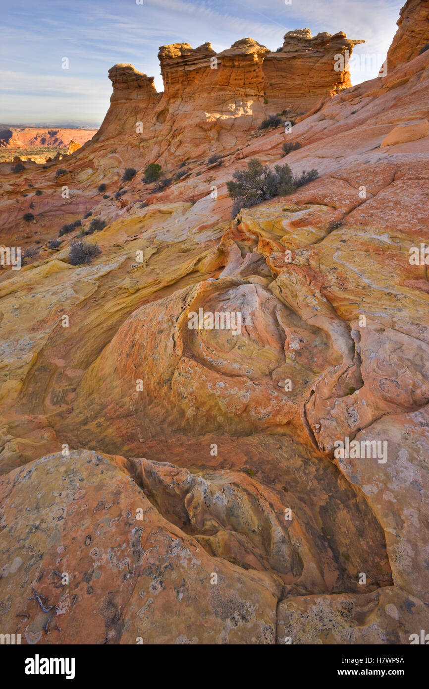 Sandstone formations, Colorado Plateau, Coyote Buttes, Arizona Stock ...