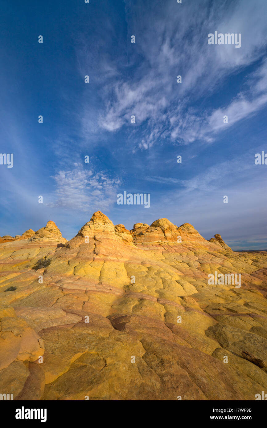 Sandstone formations, Colorado Plateau, Coyote Buttes, Arizona Stock ...