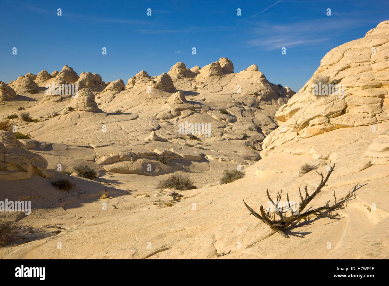Sandstone formations, Colorado Plateau, Coyote Buttes, Arizona Stock ...