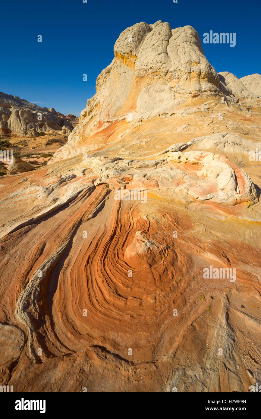 Sandstone formations, Colorado Plateau, Coyote Buttes, Arizona Stock ...