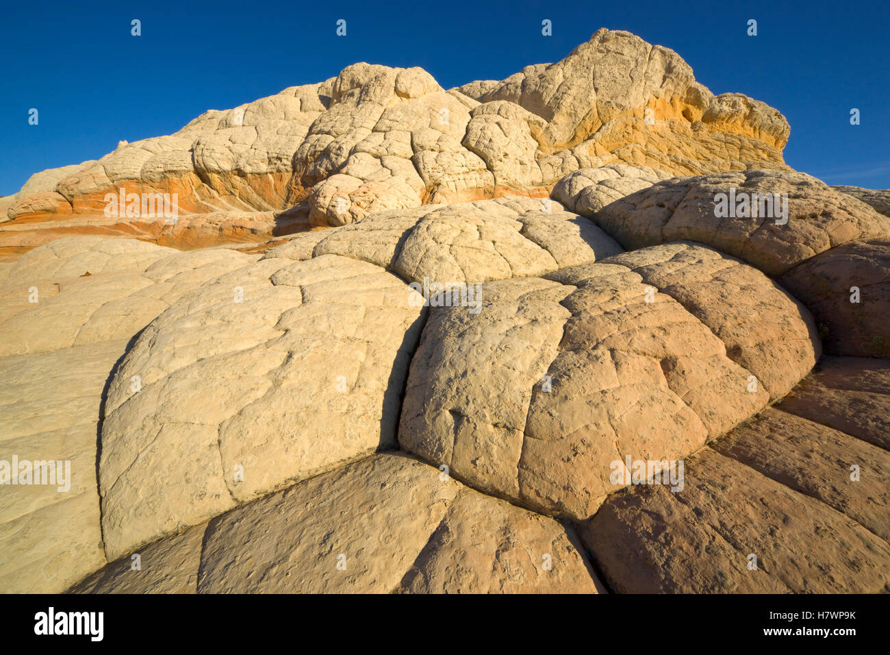 Sandstone formations, Colorado Plateau, Coyote Buttes, Arizona Stock ...