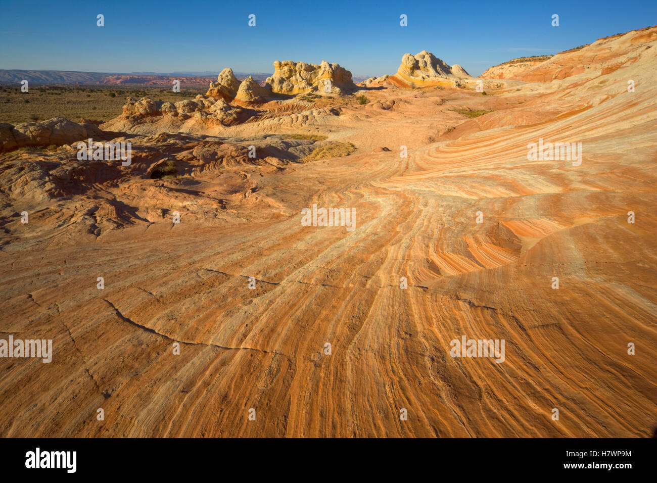 Sandstone formations, Colorado Plateau, Coyote Buttes, Arizona Stock ...