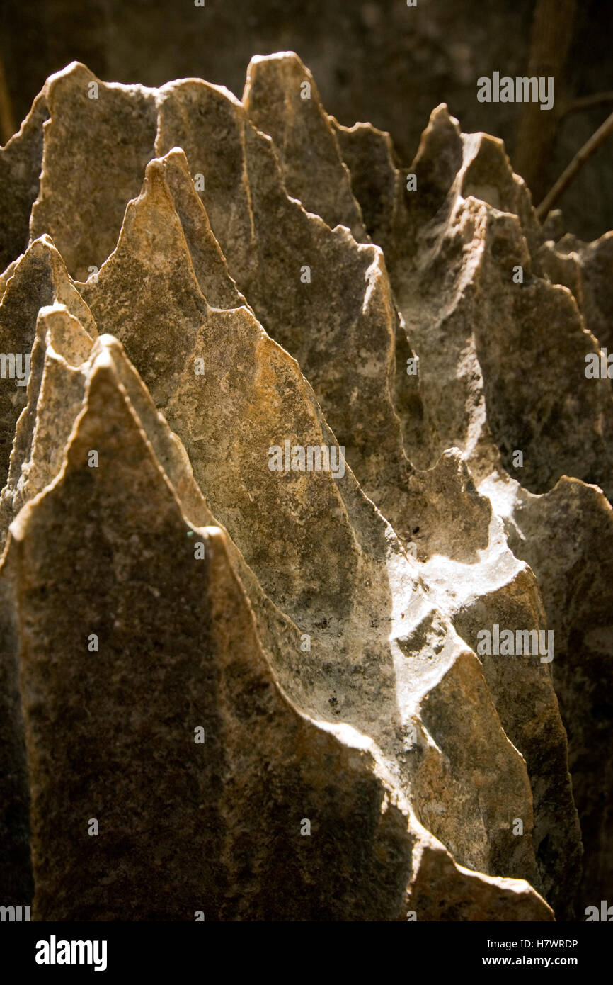 Tsingy rock formations, Bemaraha National Park, western Madagascar ...