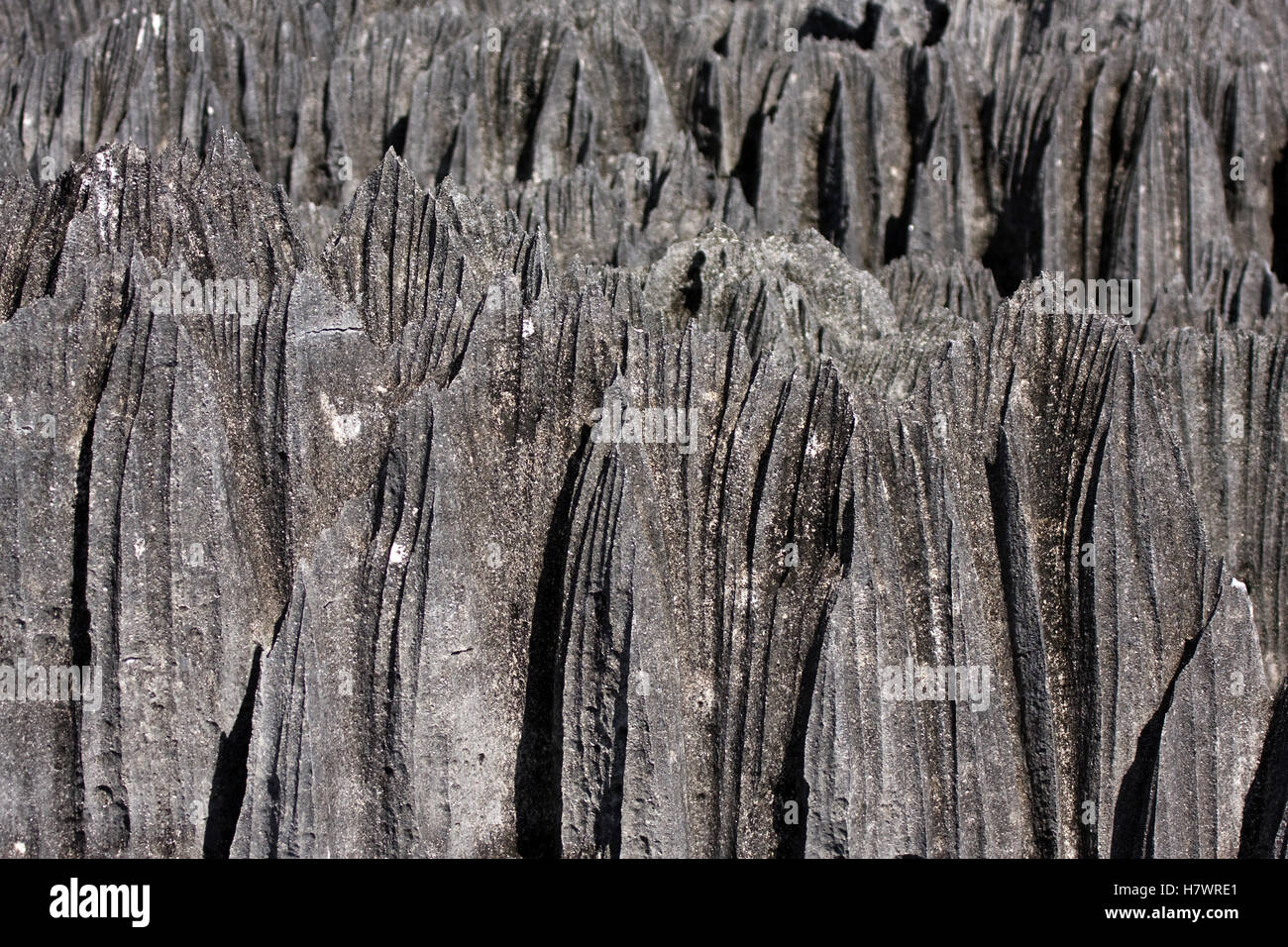 Tsingy rock formations, Bemaraha National Park, western Madagascar ...