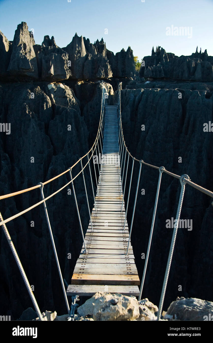 Suspension bridge crossing a gorge in the Bemaraha National Park ...