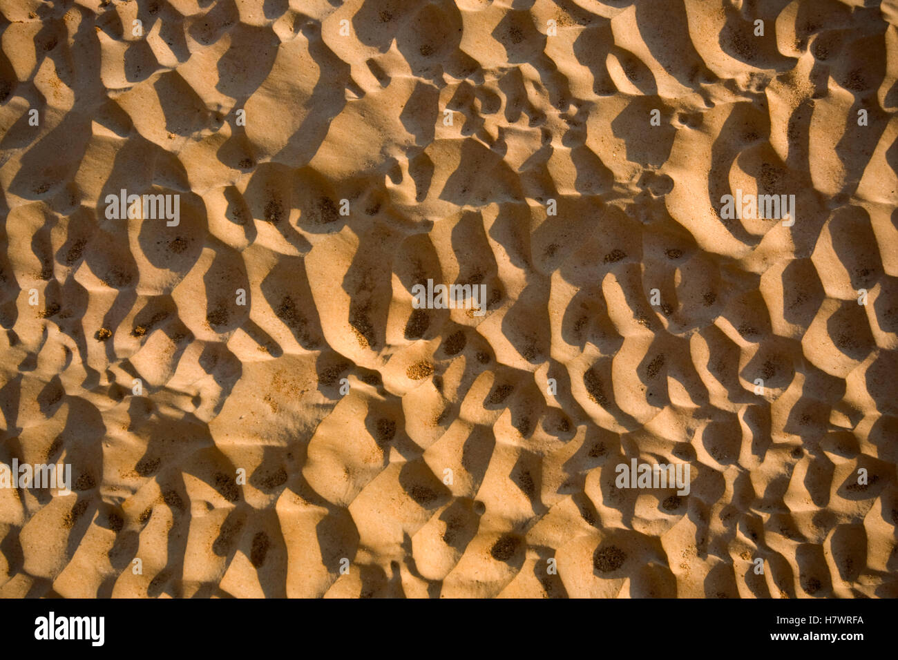 Ripple patterns in sandstone, Tsiribihina River, Madagascar Stock Photo ...