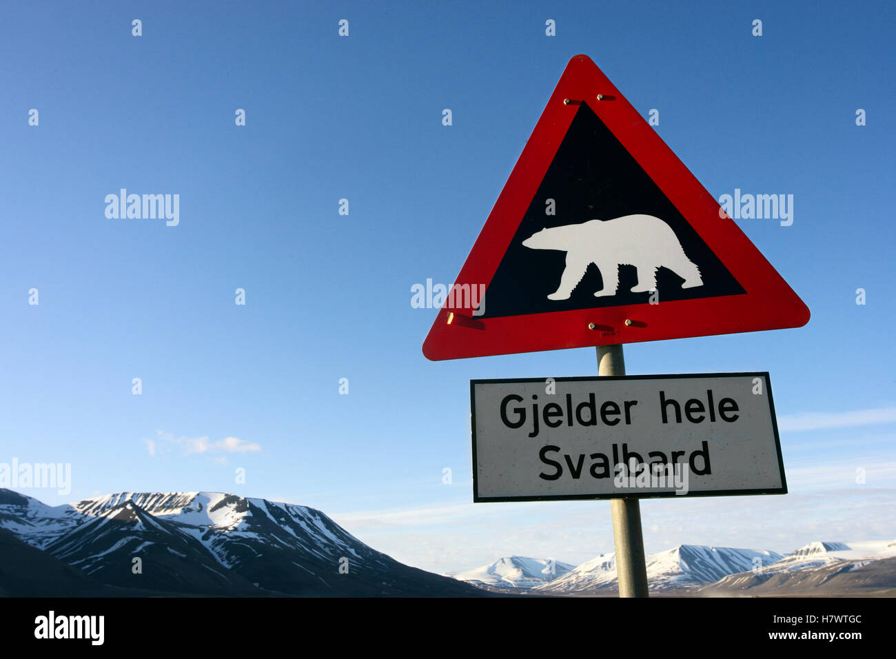 Polar bear warning sign, Svalbard, Norway Stock Photo - Alamy