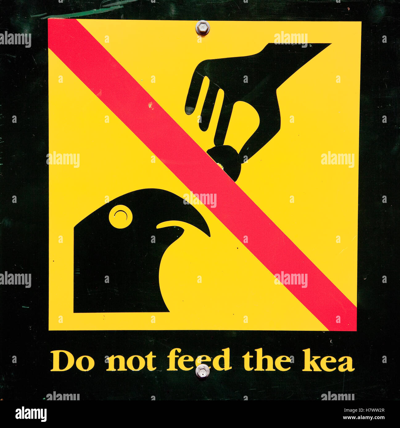 Kea (Nestor notabilis) conservation sign placed throughout Southern ...