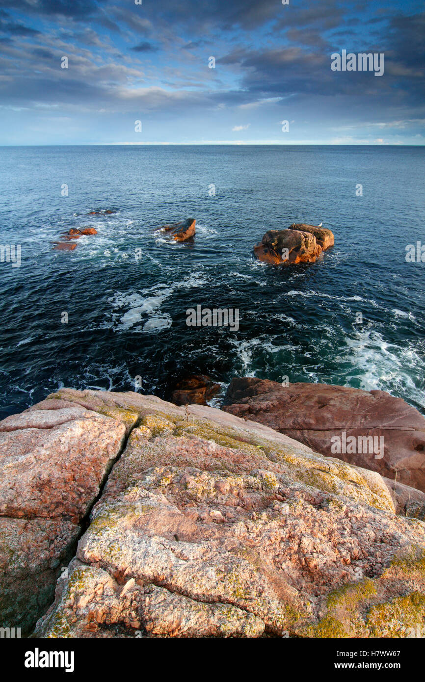 Coastal granite rocks, Cape Breton Highlands National Park, Gulf of St ...