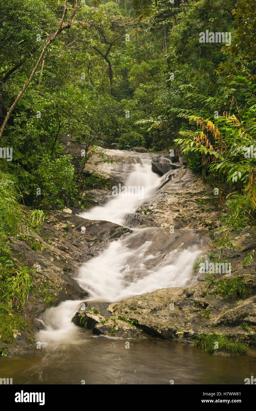 Rainforest waterfall, Marojejy National Park, Madagascar Stock Photo ...