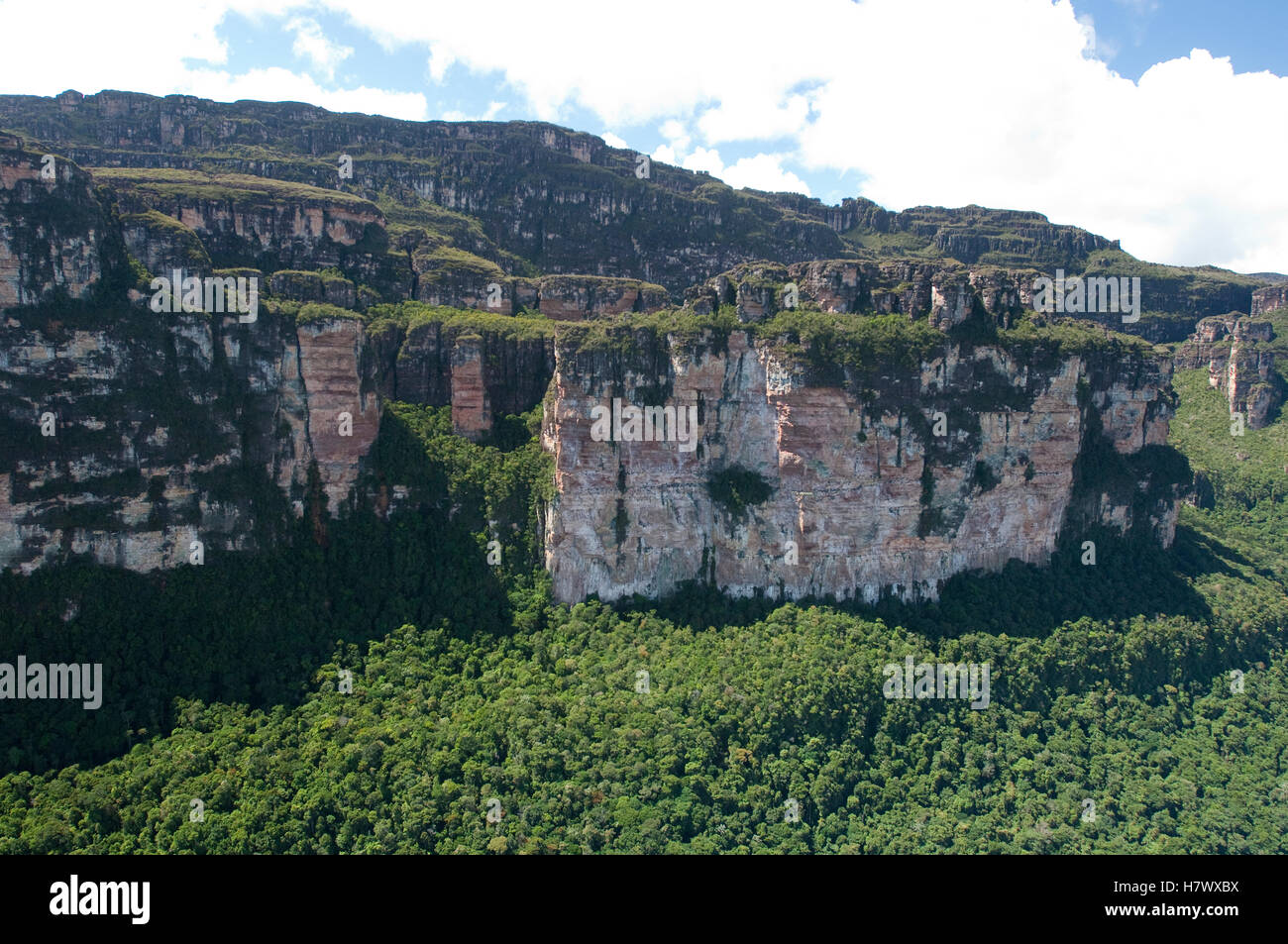 Amuri Tepui, Venezuela Stock Photo - Alamy