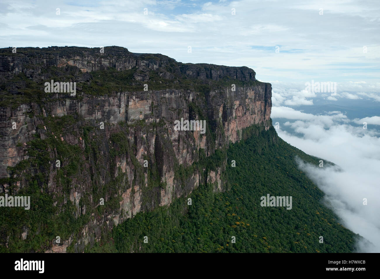 Auyan Tepui, Venezuela Stock Photo - Alamy