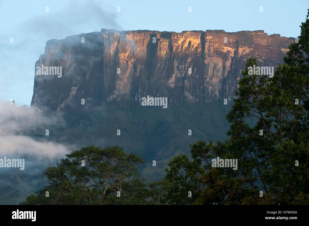 Kukenan Tepui, Venezuela Stock Photo - Alamy