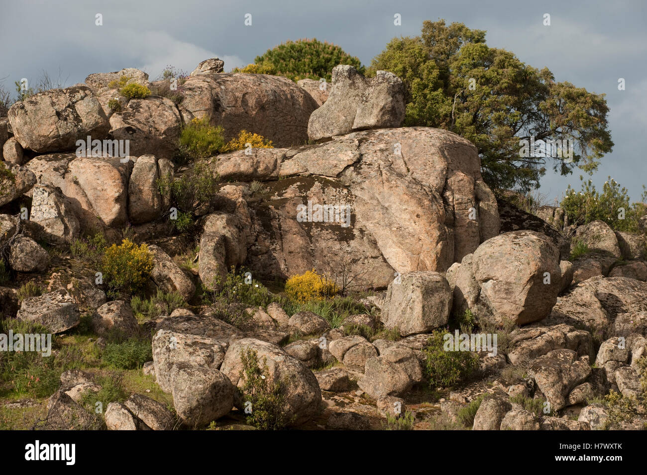 Boulders in the Sierra Morena, Sierra de Andujar Natural Park ...