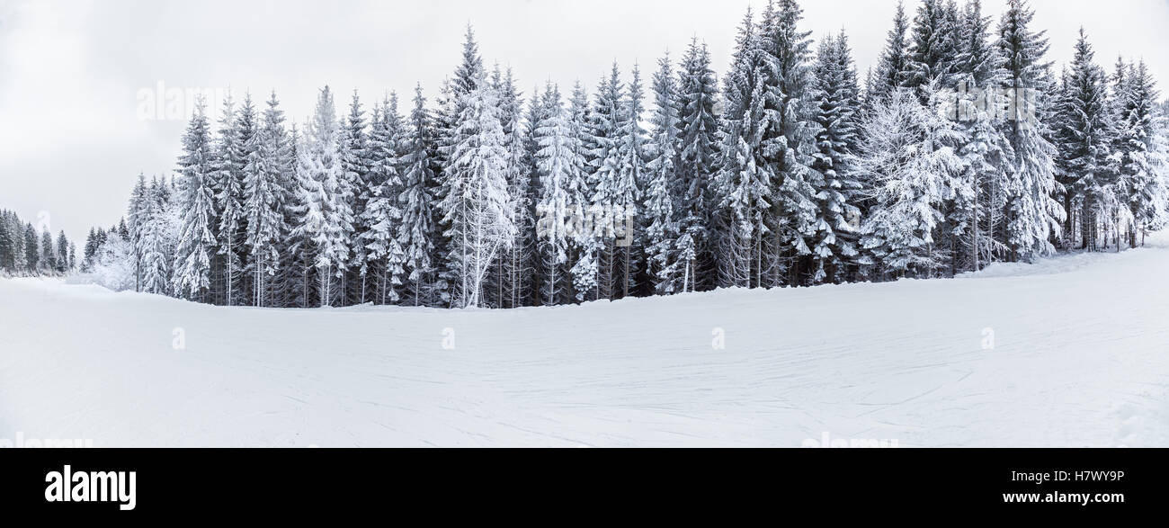 White panoramic panorama panoramas hi-res stock photography and images ...