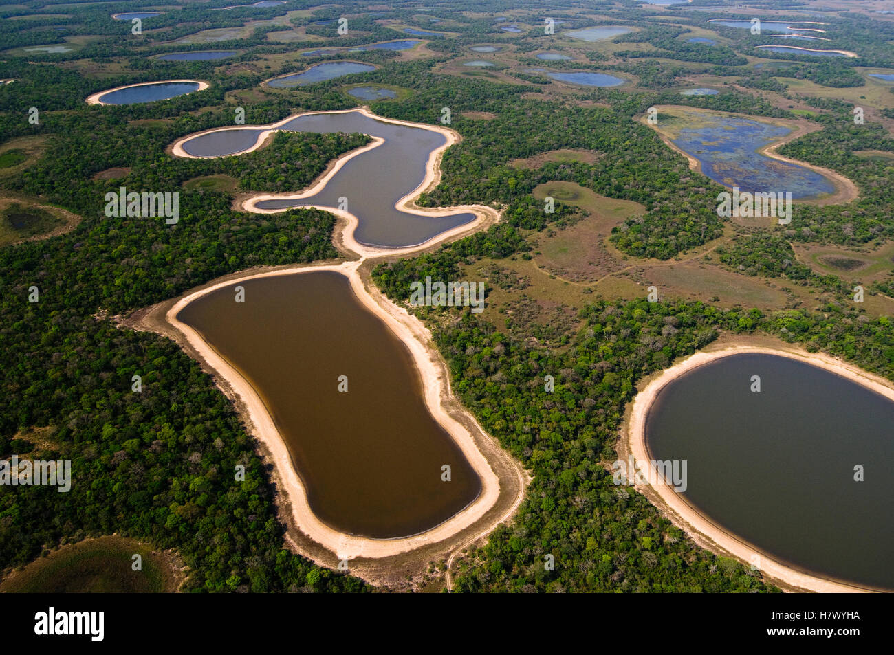 Aerial view of saltwater lakes in southern Pantanal, Brazil Stock Photo ...