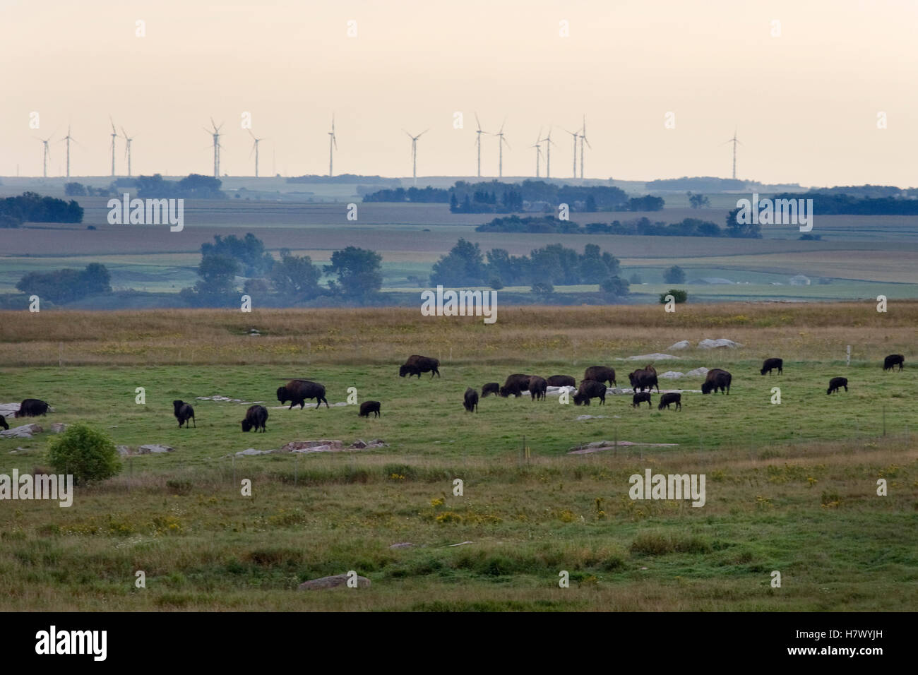 Blue mounds state park hi-res stock photography and images - Alamy