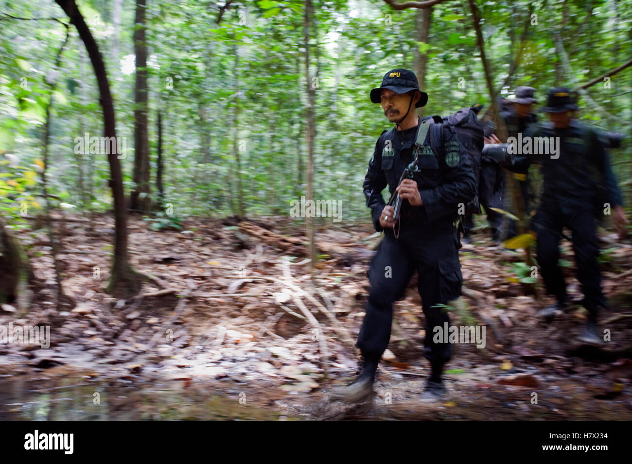 Rhino protection unit personnel patrolling in Way Kambas National Park ...
