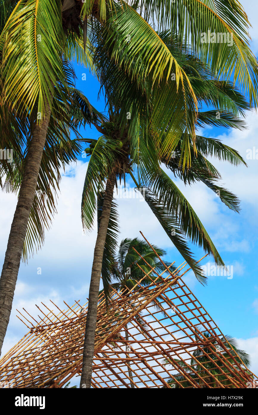 Construction under palm trees hi-res stock photography and images - Alamy