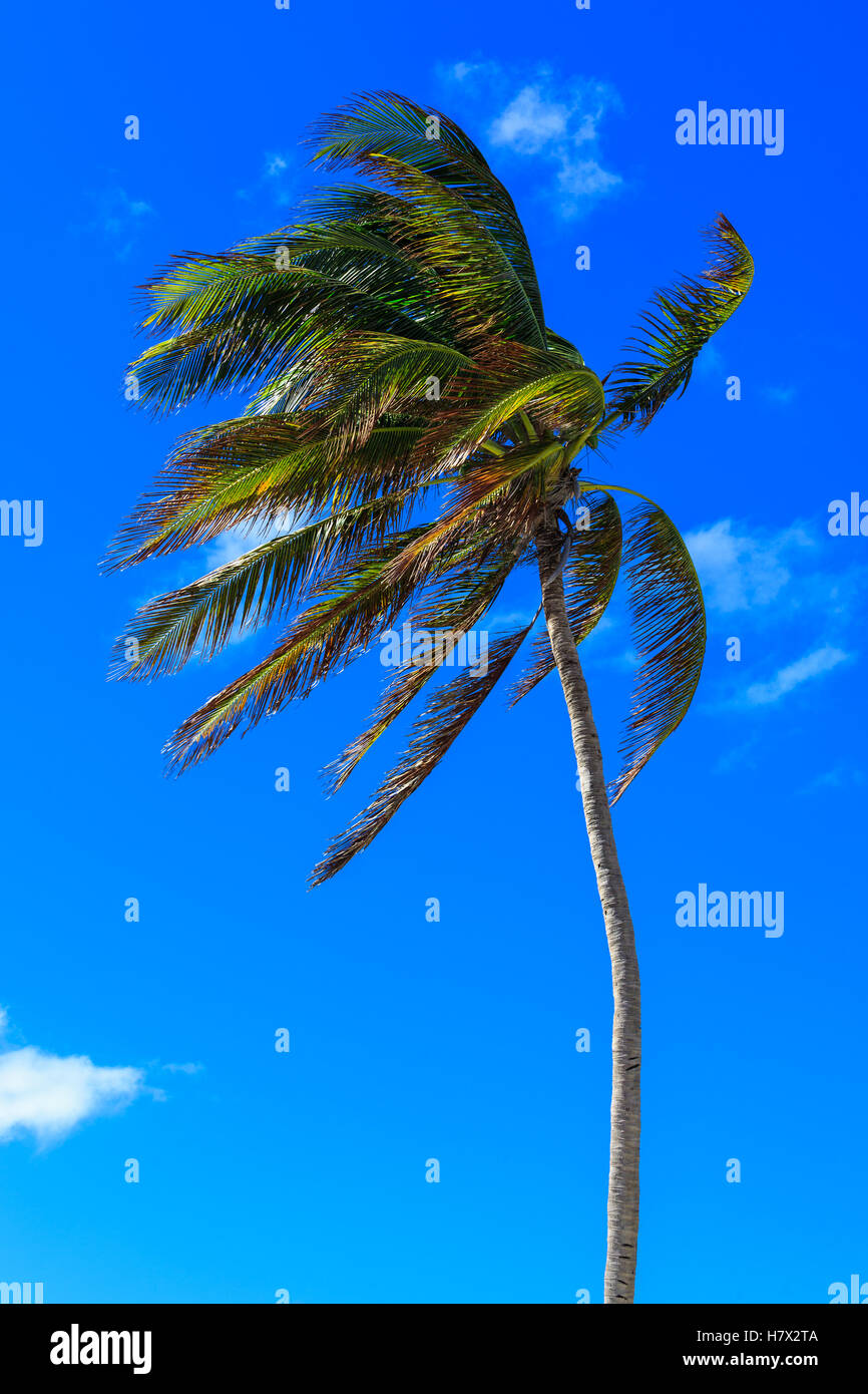 Object tall and strong hi-res stock photography and images - Alamy