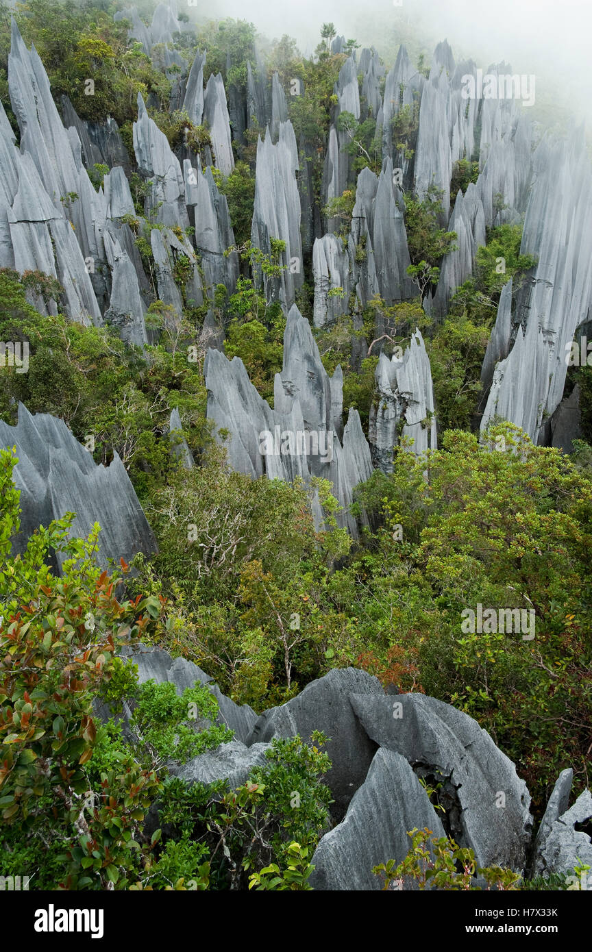 Limestone pinnacles shaped by erosion and wind, slopes of Mount Api in ...