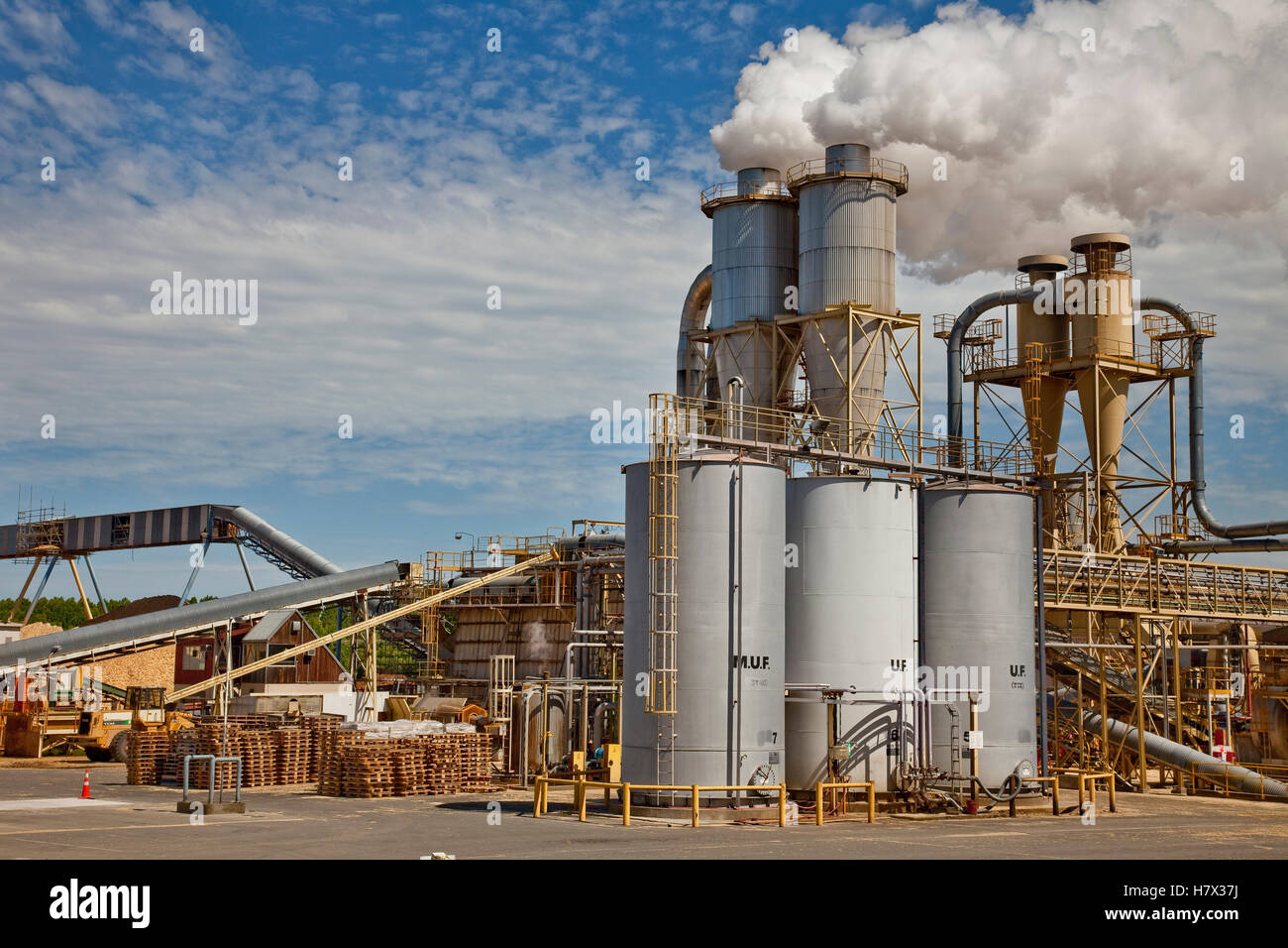 Wood processing plant near Christchurch, New Zealand Stock Photo - Alamy