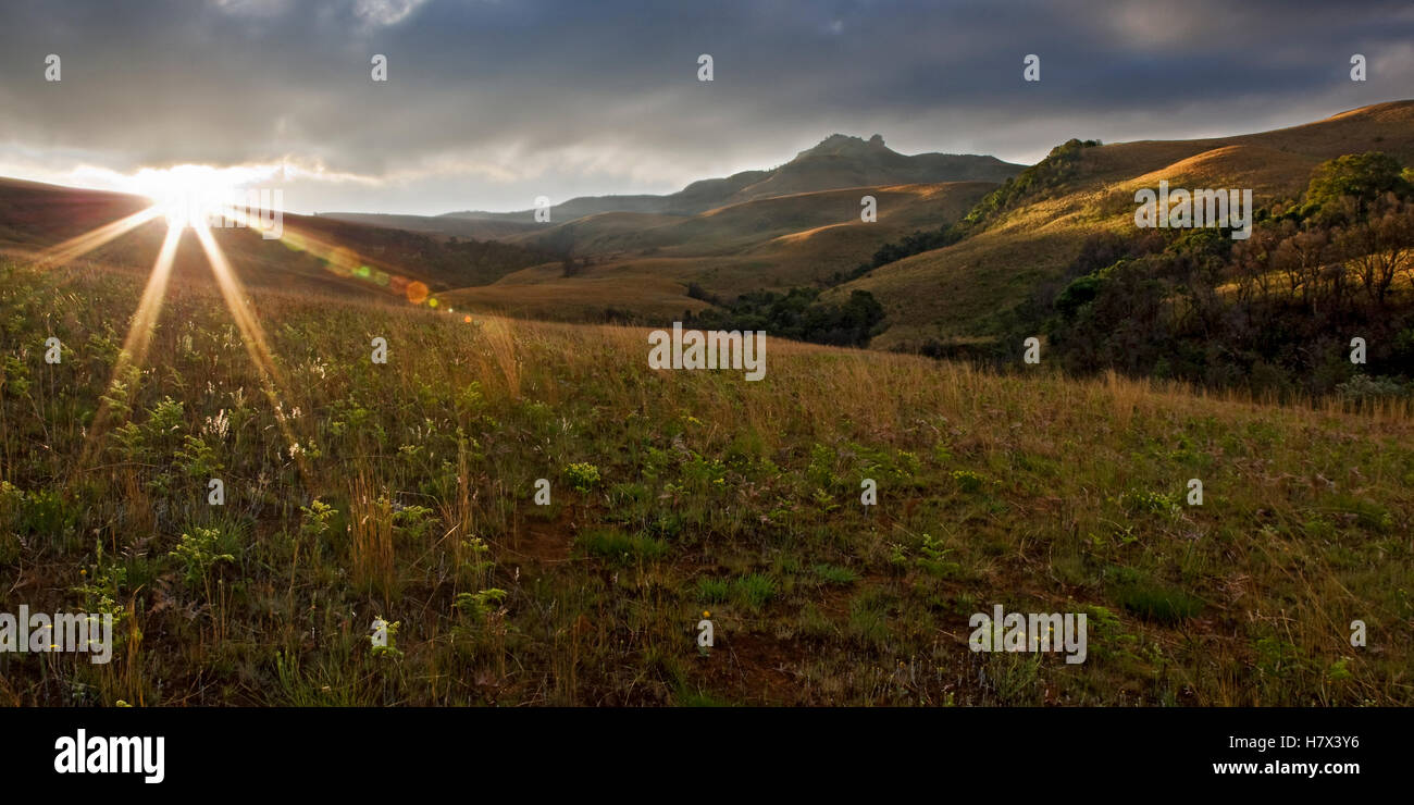 Sunset over the Drakensberg Mountains, Rugged Glen Nature Reserve ...